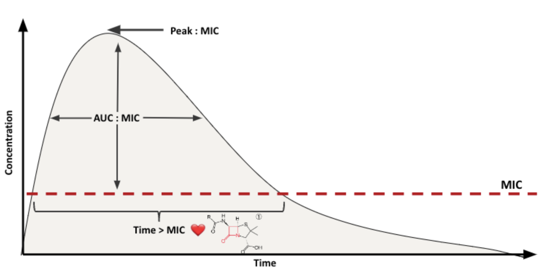 Recognizing the value of therapeutic drug monitoring for beta-lactam ...